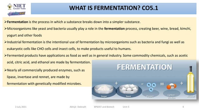 Fermentation | PPTX