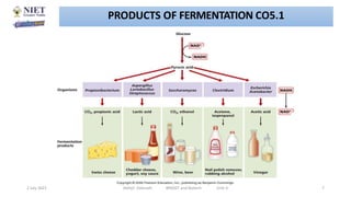 Fermentation | PPTX