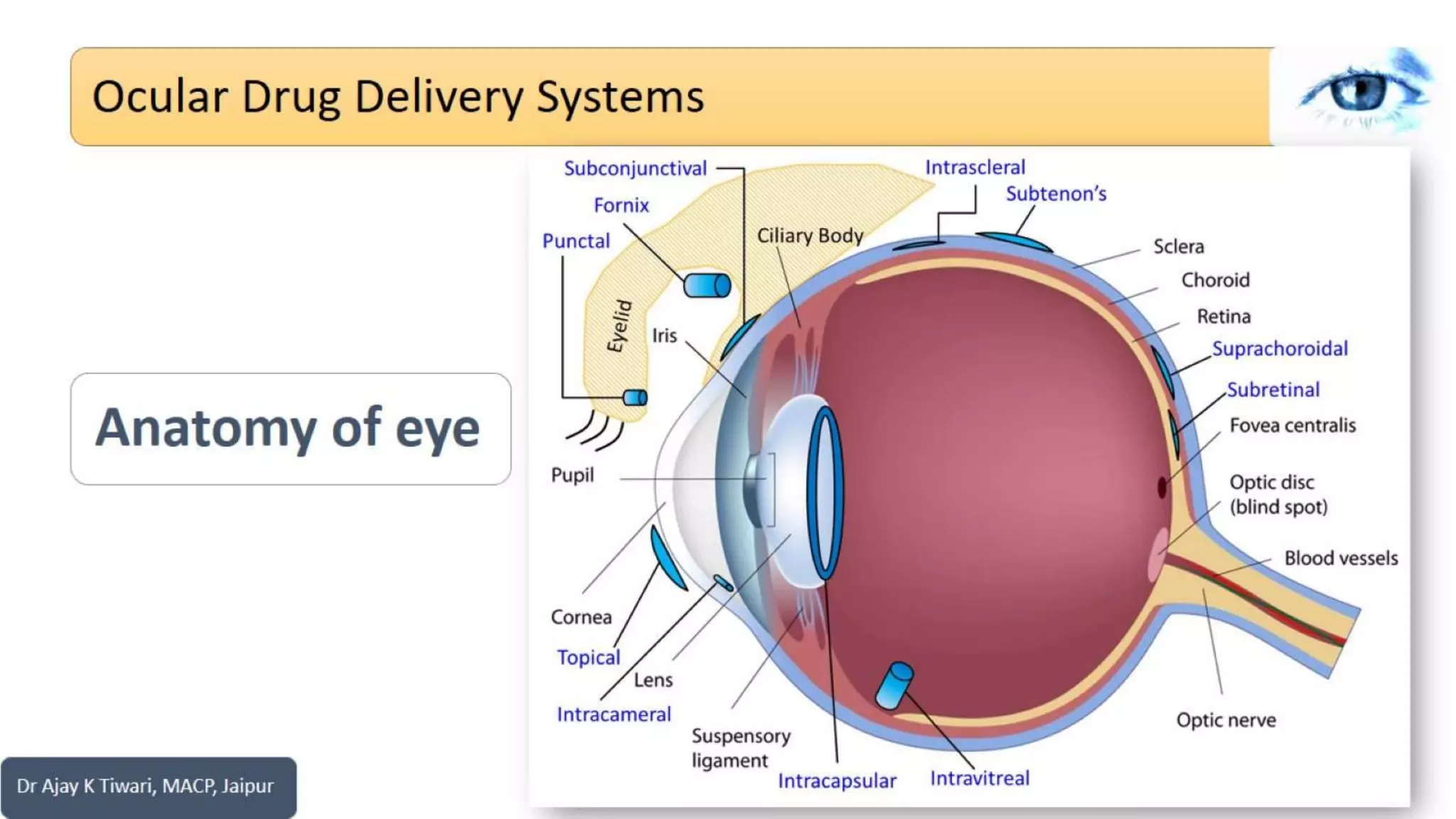 Ocular drug delivery systems (part-1)- Introduction & Barriers of drug permeation | PPTX