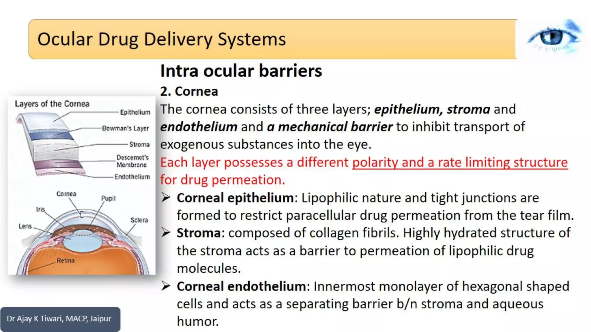 Ocular drug delivery systems (part-1)- Introduction & Barriers of drug permeation | PPTX