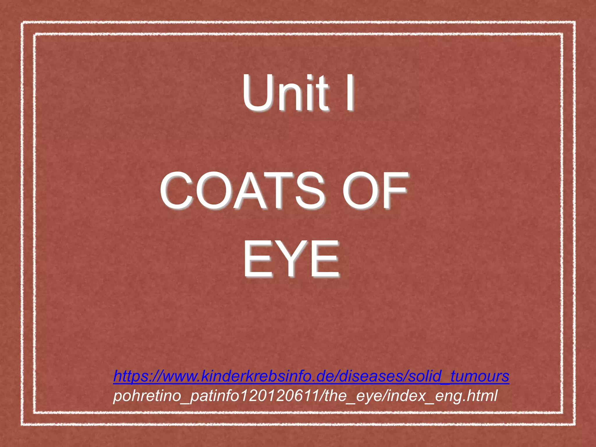 Coats of eyeball | PPT