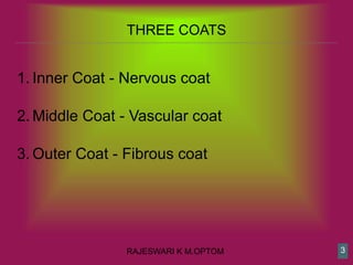 Coats of eyeball | PPT