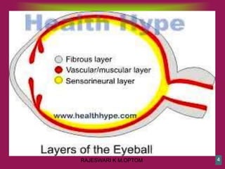Coats of eyeball | PPT