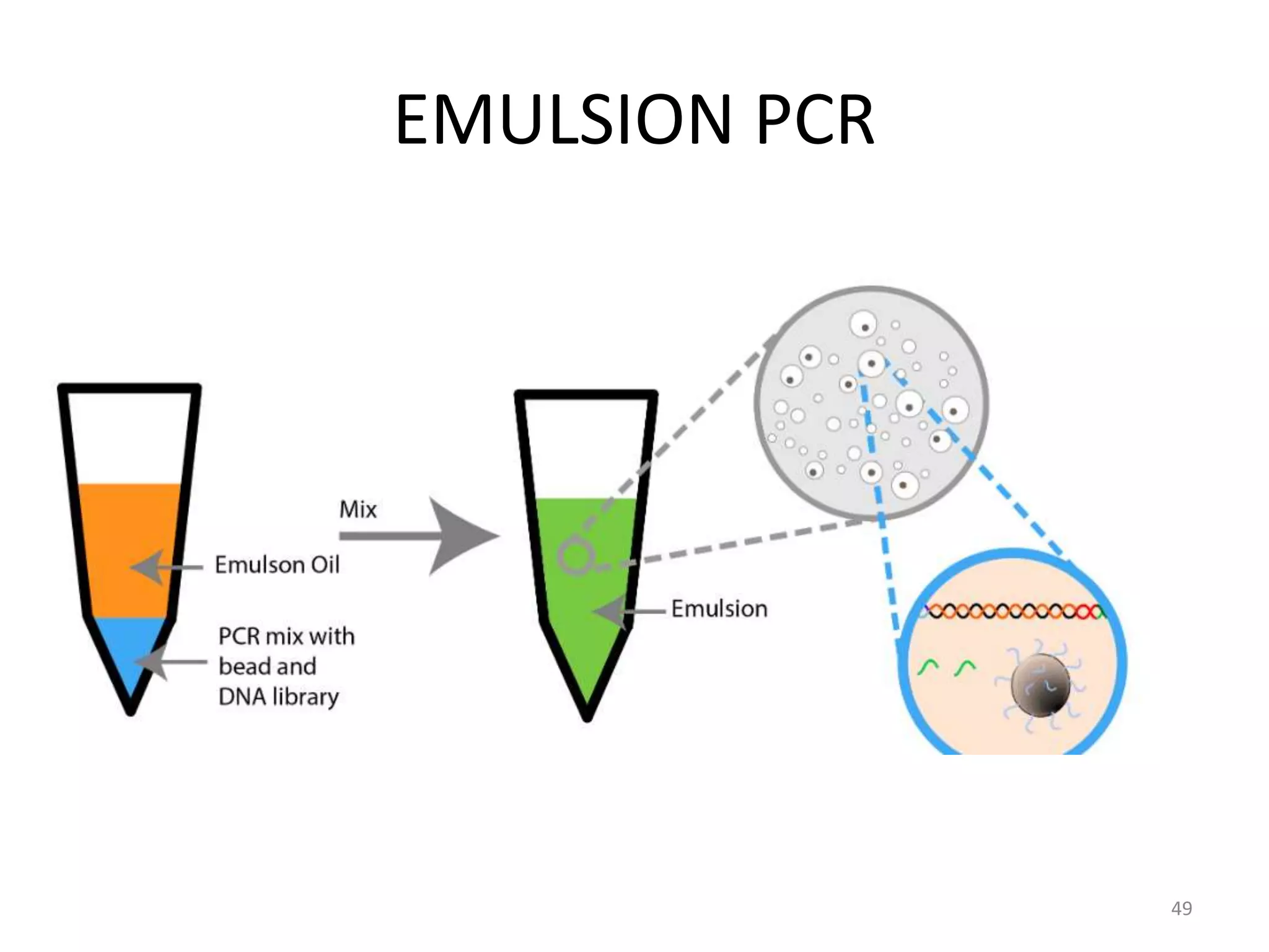 1.Role of next generation sequencing in plant pathology | PPTX