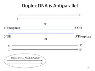 1.Role of next generation sequencing in plant pathology | PPTX