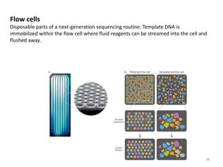 1.Role of next generation sequencing in plant pathology | PPTX
