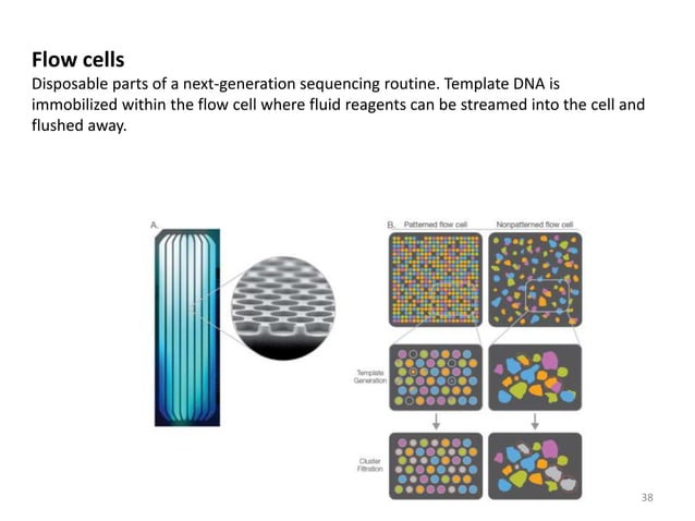 1.Role of next generation sequencing in plant pathology | PPTX ...