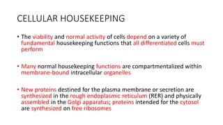 1. the cell unit | PPT