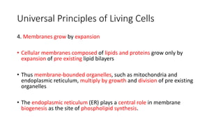 1. introduction to cell biology | PPTX | Biological Sciences | Science