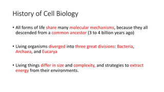 1. introduction to cell biology | PPTX | Biological Sciences | Science