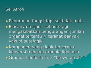 makanisme adaptasi sel | PPT