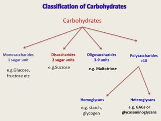 Carbohydrates | PPT
