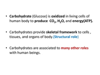 Carbohydrates | PDF