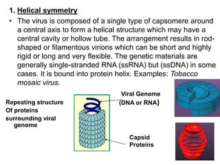 1. introduction to_virology[1] | PPT