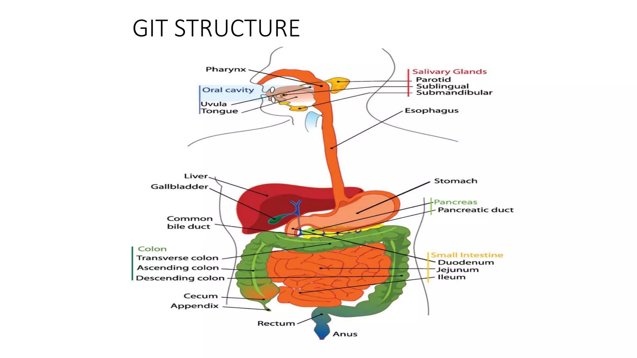 1. introducton to_git_system[1] | PPT