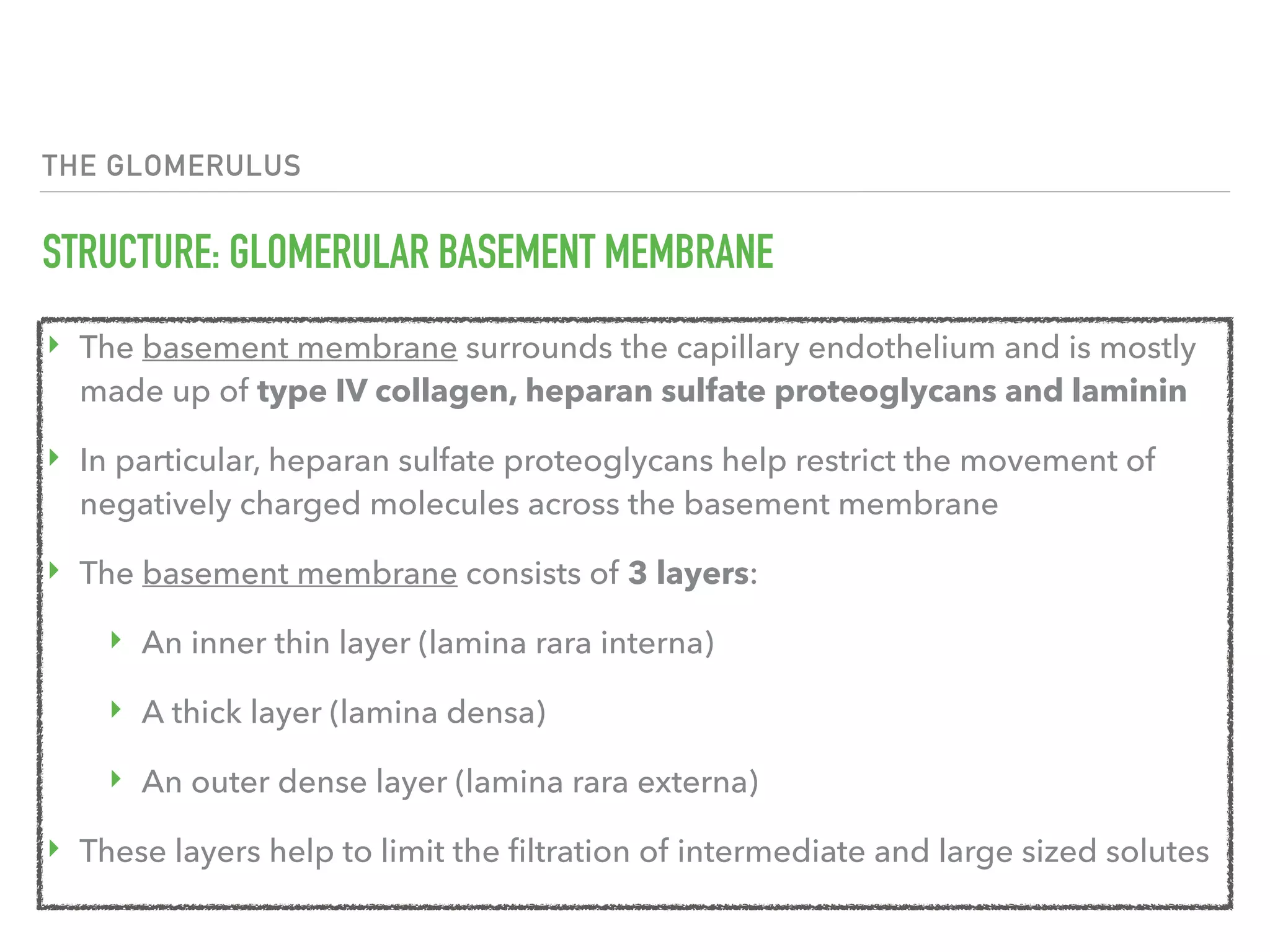 1. the nephron | PDF