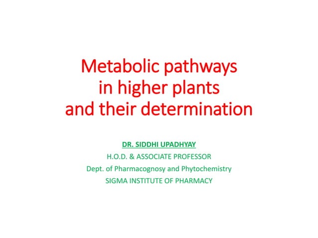 Metabolic Pathways in Higher Plants and their Determination | PPTX | Endocrine and Metabolic ...