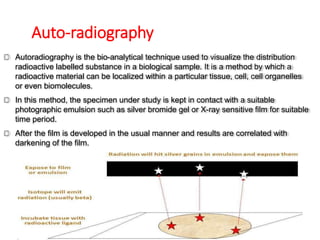 Metabolic Pathways in Higher Plants and their Determination | PPTX