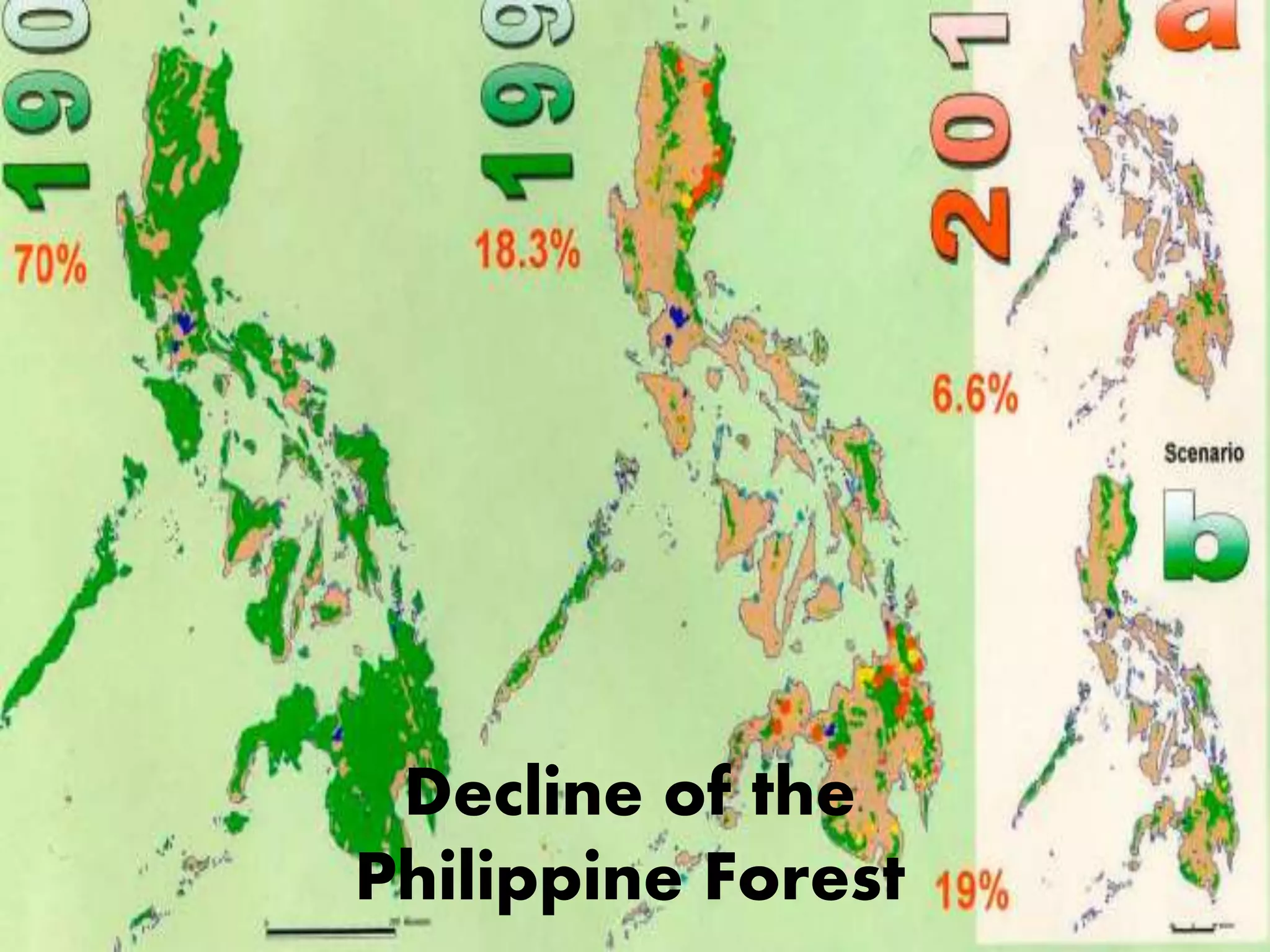 Introduction to Forestry (Philippines) | PPTX