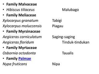 Introduction to Forestry (Philippines) | PPTX