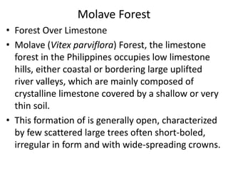 Introduction to Forestry (Philippines) | PPTX