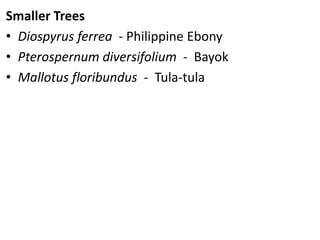 Introduction to Forestry (Philippines) | PPTX