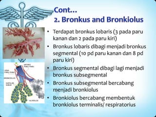 anatomi dan fisiologi sistem pernafasan | PPT