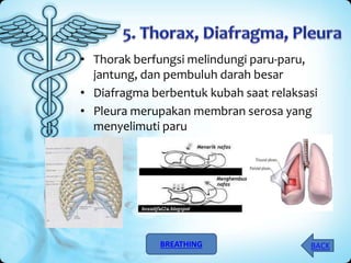 anatomi dan fisiologi sistem pernafasan | PPT