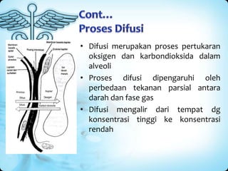 anatomi dan fisiologi sistem pernafasan | PPT
