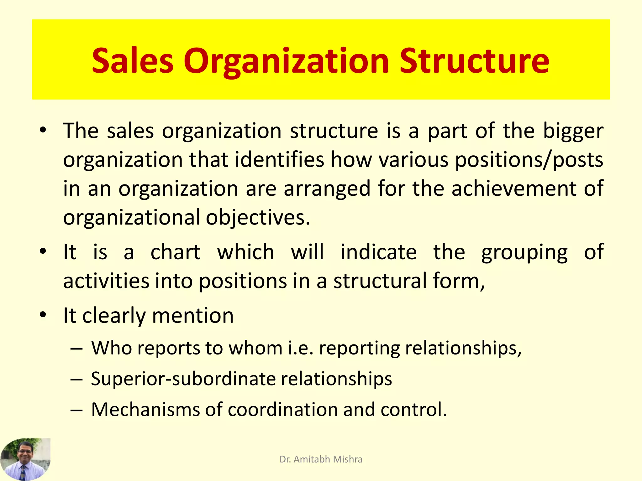 Sales Organisation | PDF