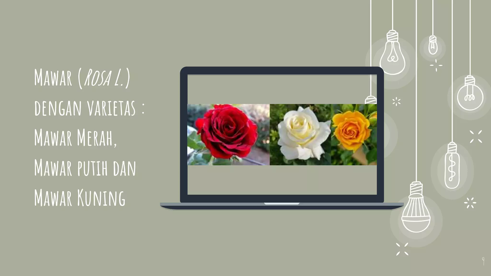 1. keanekaragaman hayati tingkat gen | PPT