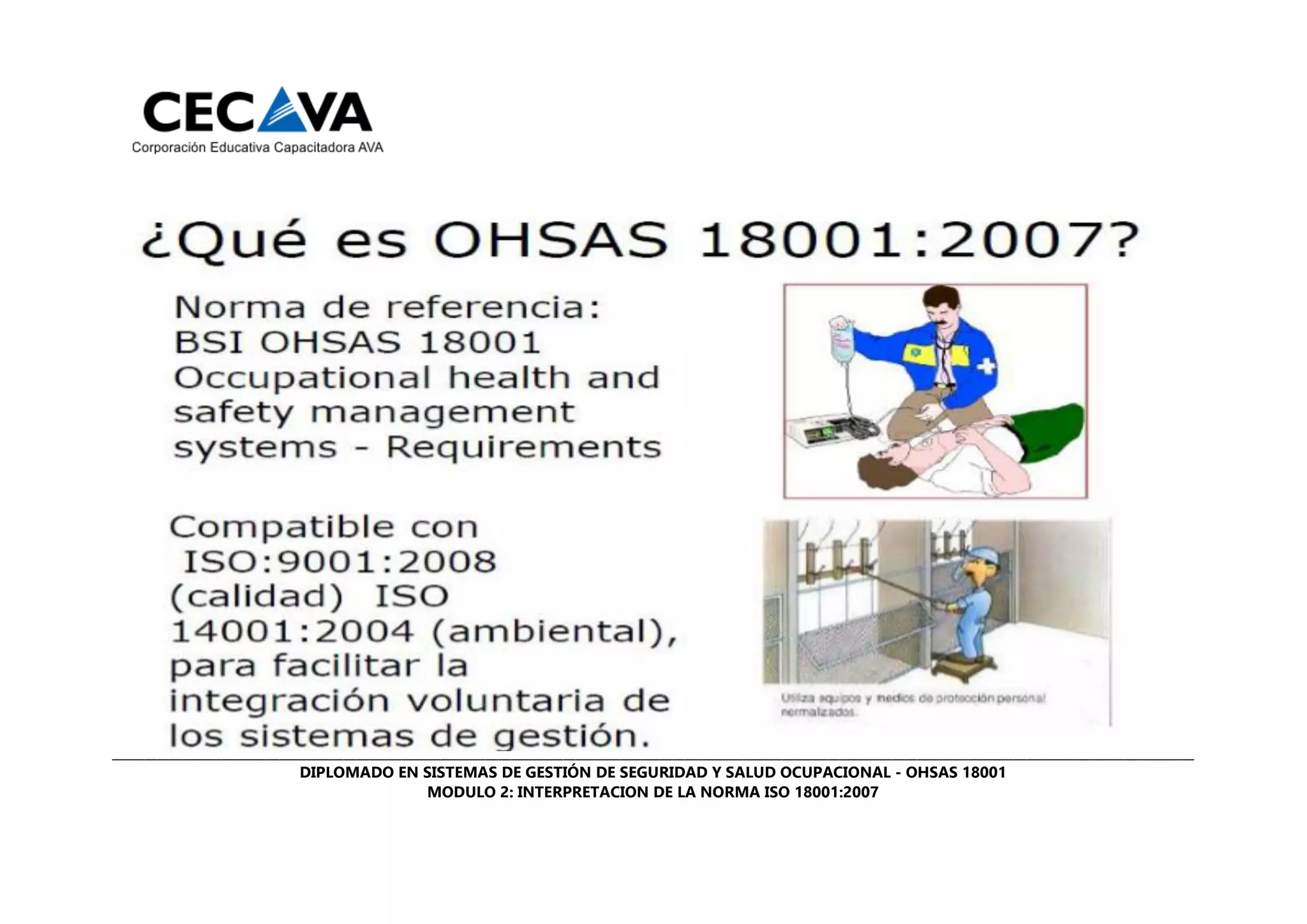 1. sistemas de gestión ohsas 18001 2007 | PDF