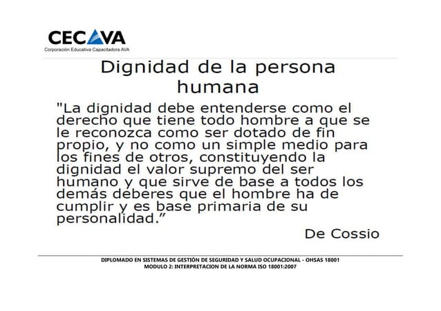 1. sistemas de gestión ohsas 18001 2007 | PDF