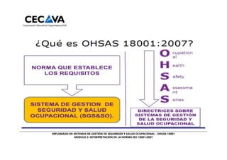 1. sistemas de gestión ohsas 18001 2007 | PDF