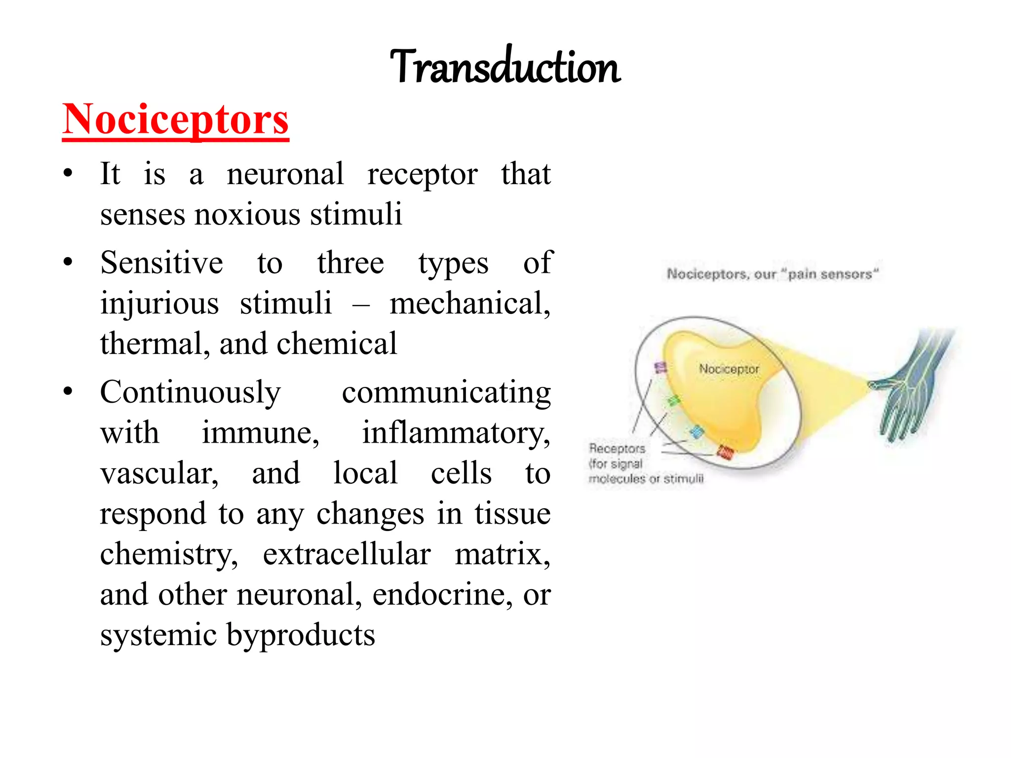 1.pain pathophysiology and mechanisms | PPTX