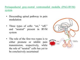 1.pain pathophysiology and mechanisms | PPTX