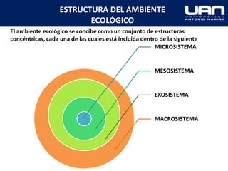 1. teoria ecologica de bronfenbrenner | PPTX