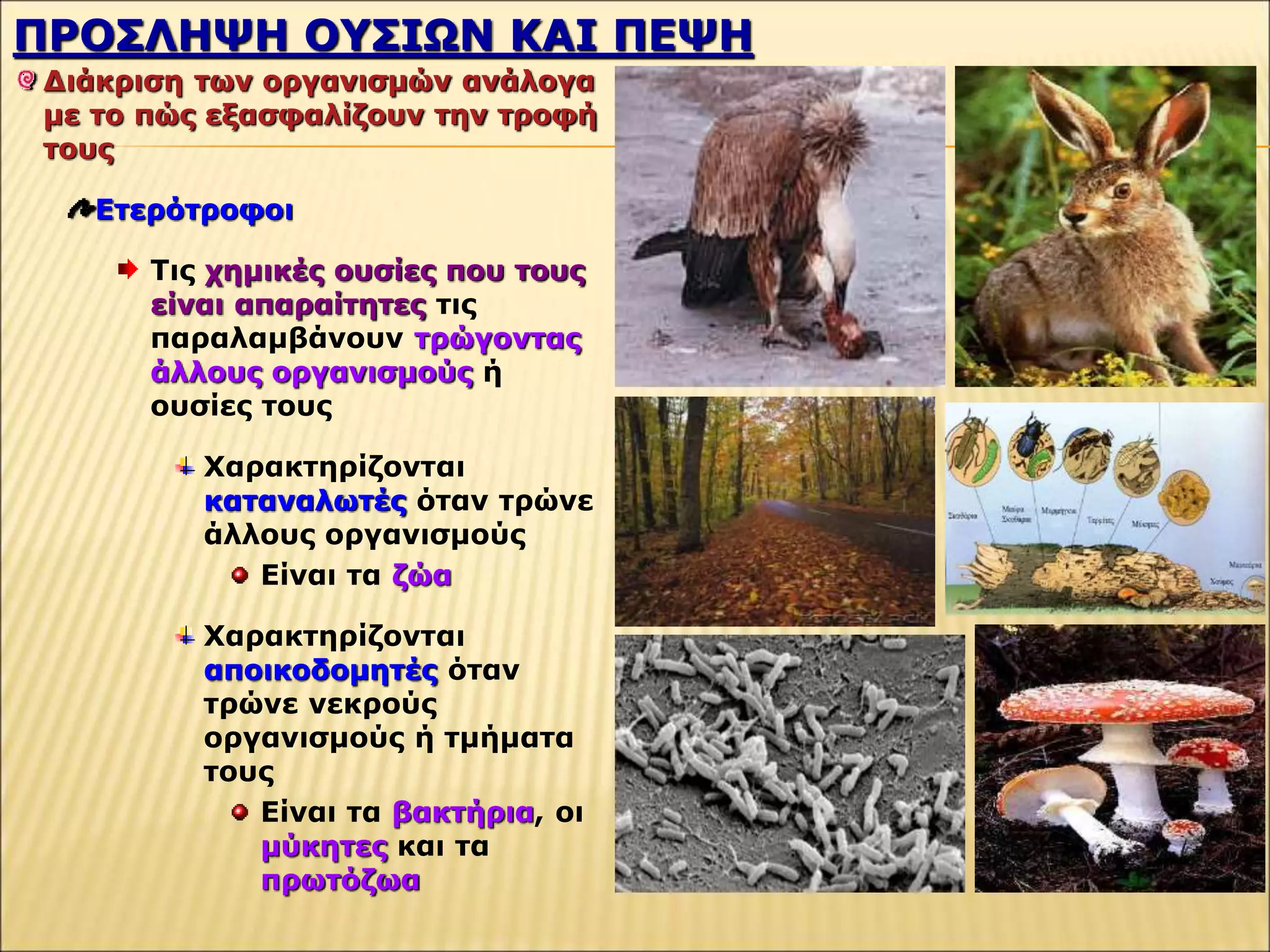 1.προσληψη ουσιων και πεψη | PPT