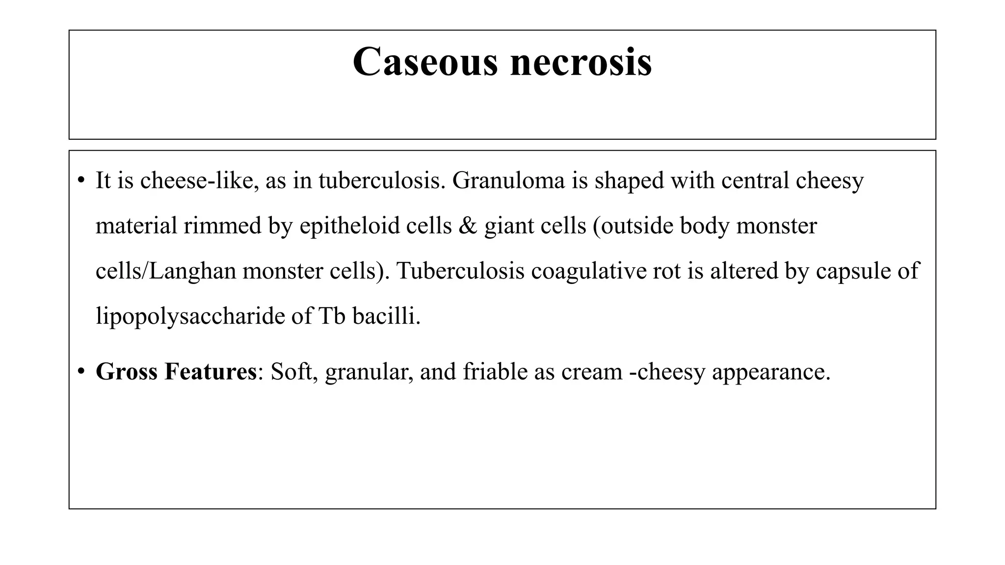 1.introduction | PPTX