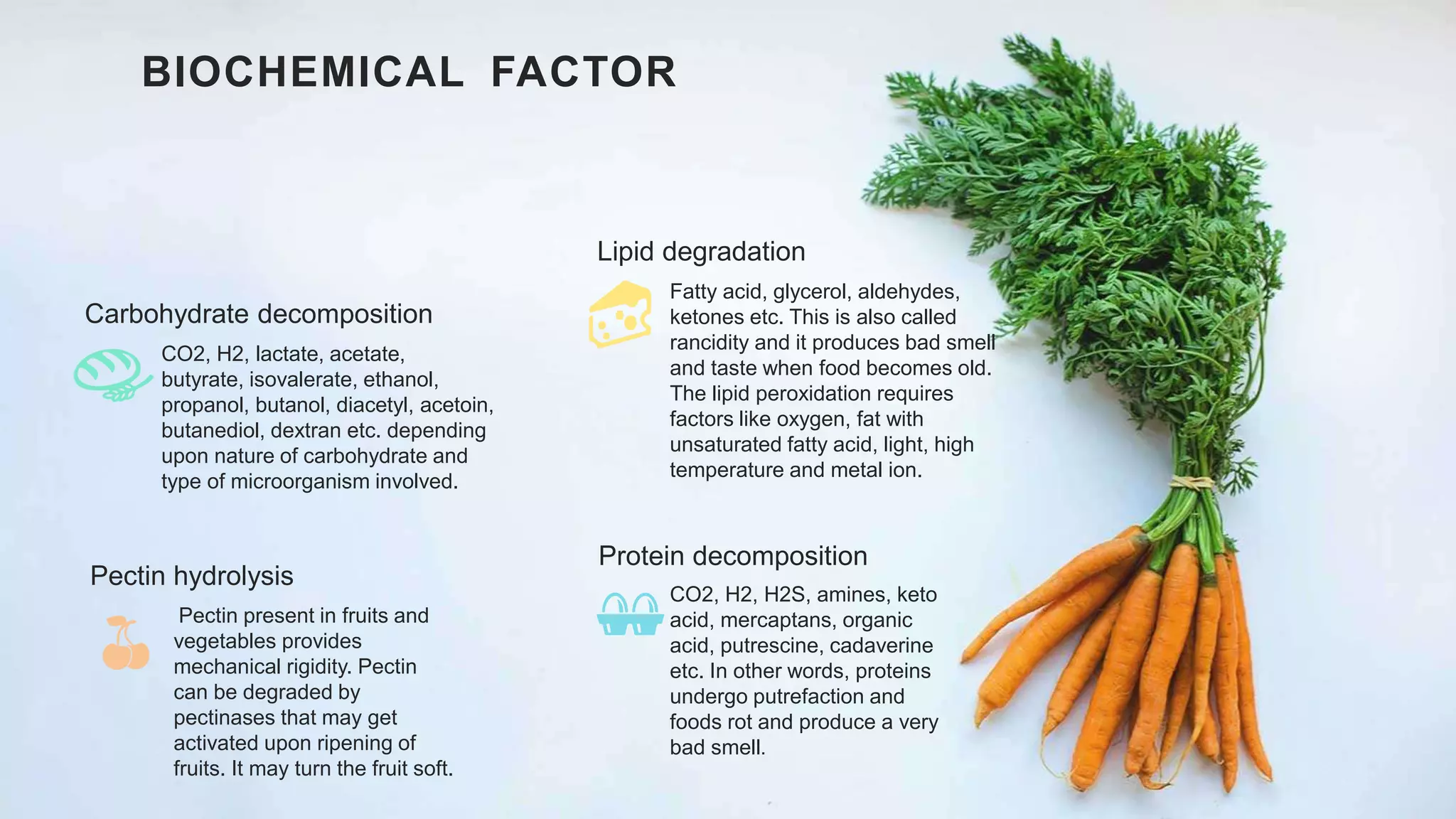 Microbial factors responsible for the spoilage of food | PPTX