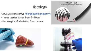 1.histotechniques basic | PPT