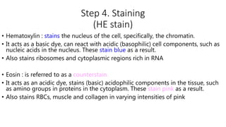 1.histotechniques basic | PPTX