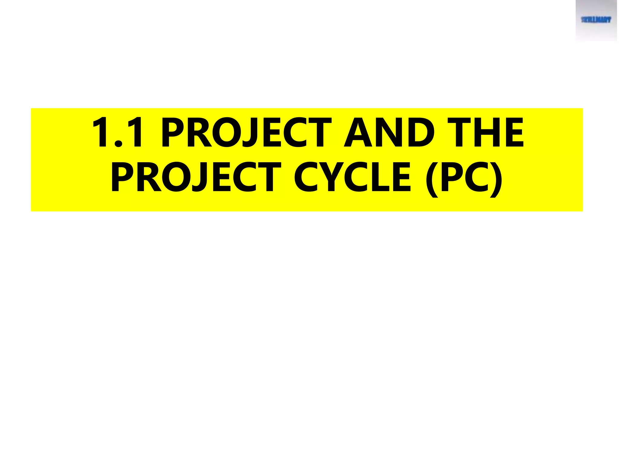 1.1 skill pi introduction | PPT