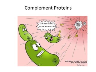 Immune System Part II:The Innate Immune System | PPT