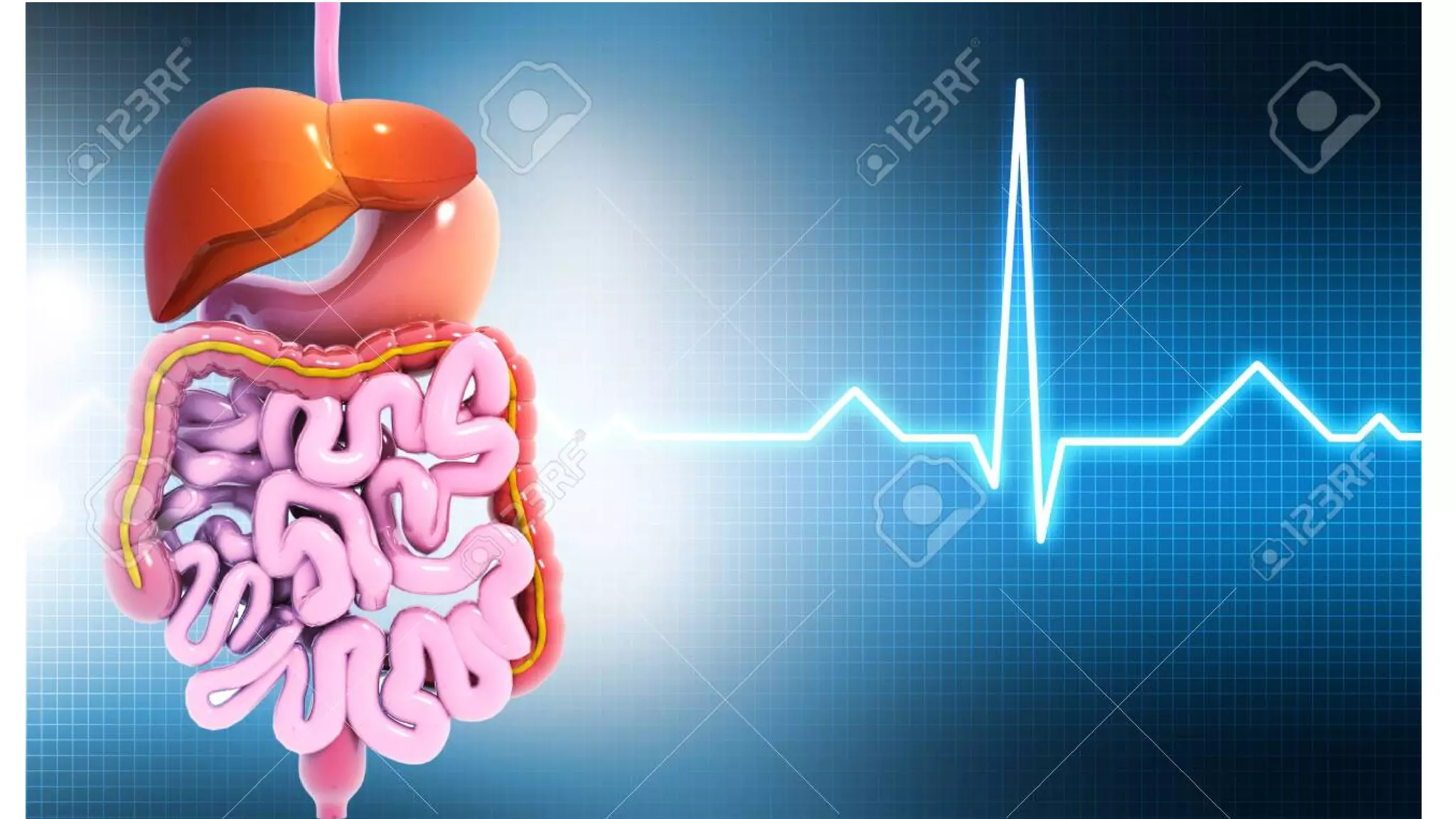 Anatomija i fiziologija digestivnog trakta | PPT
