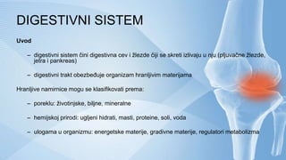 Anatomija i fiziologija digestivnog trakta | PDF