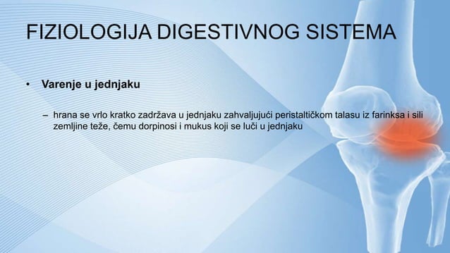 Anatomija i fiziologija digestivnog trakta | PDF