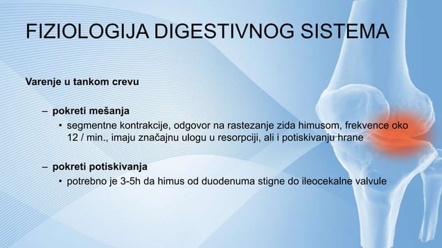 Anatomija i fiziologija digestivnog trakta | PDF