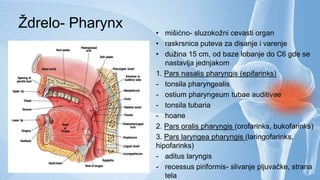 Anatomija i fiziologija digestivnog trakta | PDF