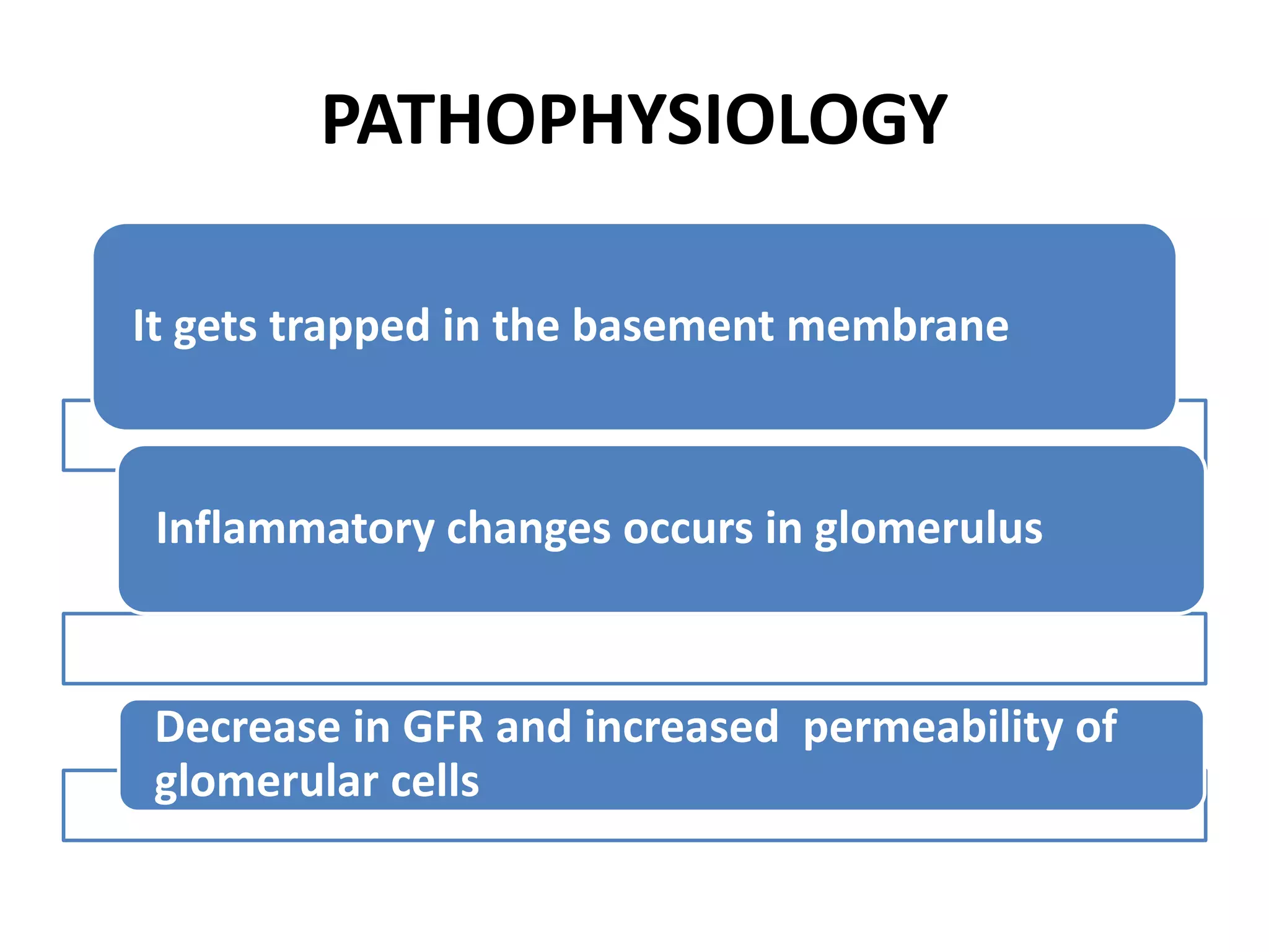 1.primary glomerular diseases | PPTX